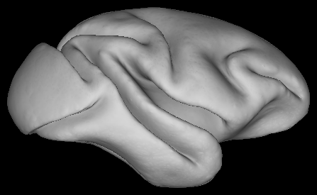 Resources | Chris Klink, PhD